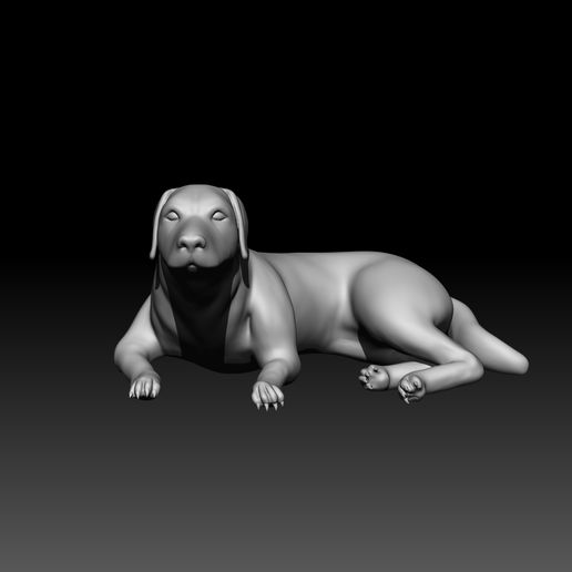 🐉 Labrador 3D print model・ STL File for 3D printing・Cults