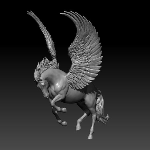 pegasus print solutions