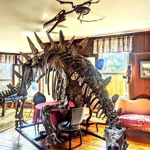 3D printed Pteranodon skeleton • made with Bambu Carbon X1・Cults