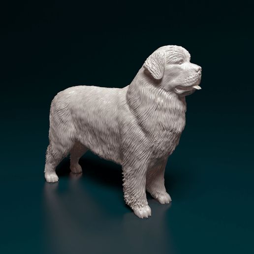 🐕 Newfoundland dog・ STL File for 3D printing・Cults