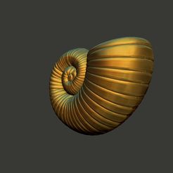 Seashell best STL files for 3D printing・160 models to download・Cults