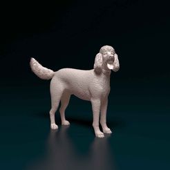 Mejores archivos de impresión 3D Poodle・271 modelos para descargar・Cults