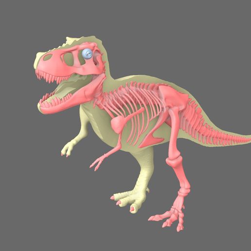 🦖 T-Rex Anatomy Skeleton - Full Dinosaur X-Rays・ 3D File for 3D printing・Cults