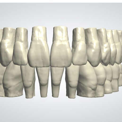 🦷 3Shape Library AP_Exo_unique・ STL File for 3D printing・Cults