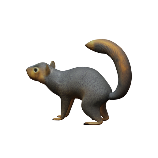 🐹 Squirrel・ STL File for 3D printing・Cults