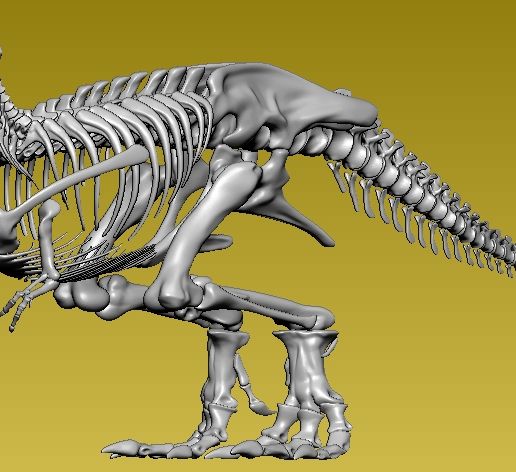 STL file Dinosaur complete skeleton 3D print 3D print model 🦖 ・3D ...