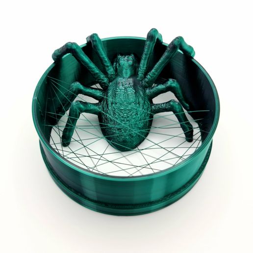 🕷️ Crawling Spider・Free STL File for ・Cults