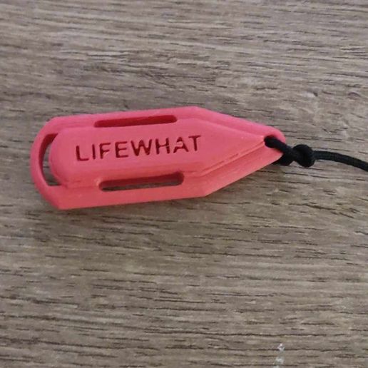 🧌 (troll) lifeguard rescue can key chain・Free OBJ File for 3D printing ...