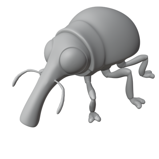STL file Weevil Insect 🕷️ ・Template to download and 3D print・Cults