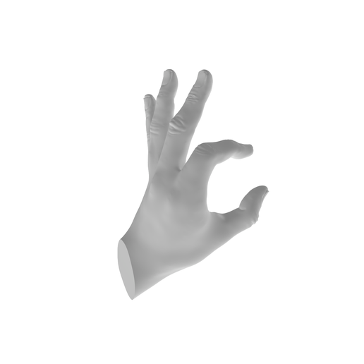 hand grasping something