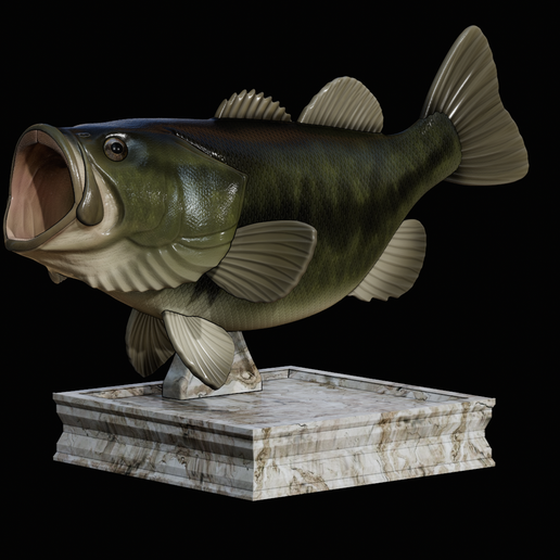 🐠 fish Largemouth Bass / Micropterus salmoides in motion 2 trophy ...