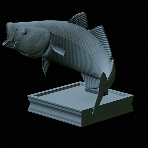 STL file fish coalfish / Pollachius virens in motion trophy statue ...