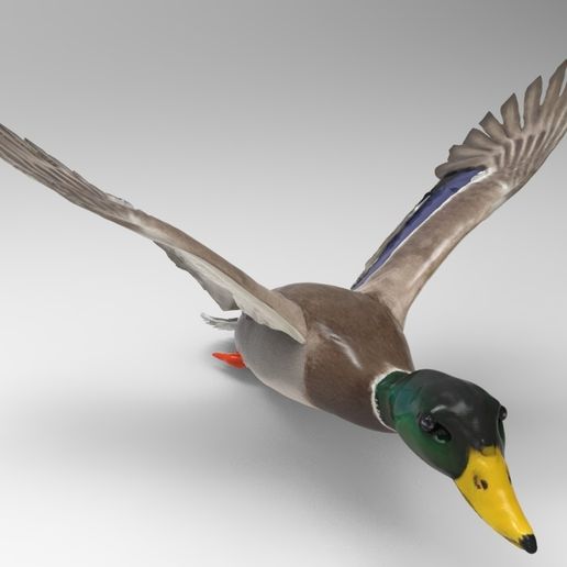 🦆 Flying Duck Figure - Duck in Flight with Spread Wings for Nature ...