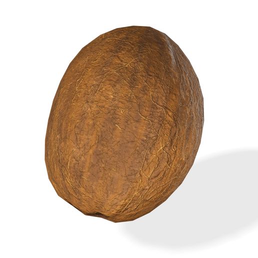 STL file COCONUT VEGETABLE FRUIT TREE FOREST WOODEN WOOD COCONUT PLANT ...