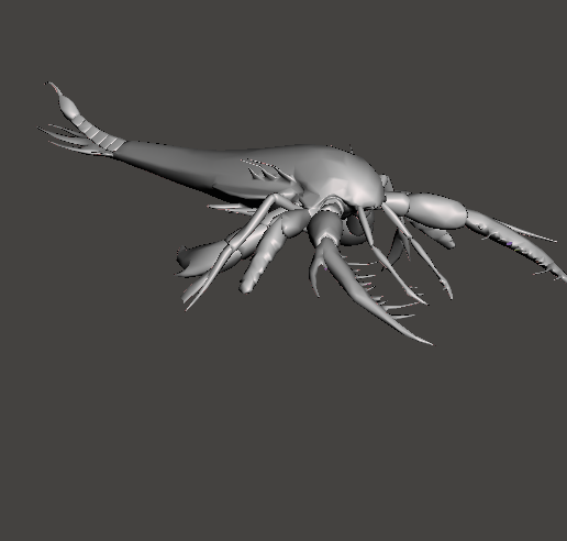 STL file Eurypterid 🪞 ・3D printing idea to download・Cults