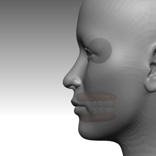 👩 base model of woman's face - base modelo base de mujer's face・ STL ...