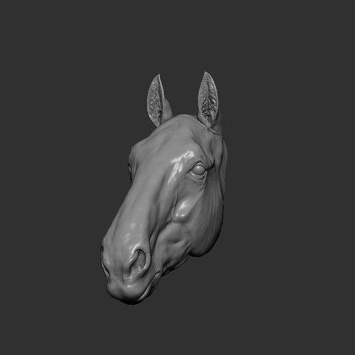 draft horse head
