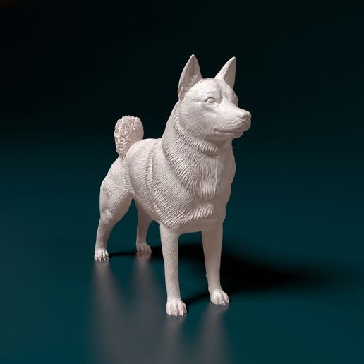 🐕 Norwegian Elhound・ STL File for 3D printing・Cults