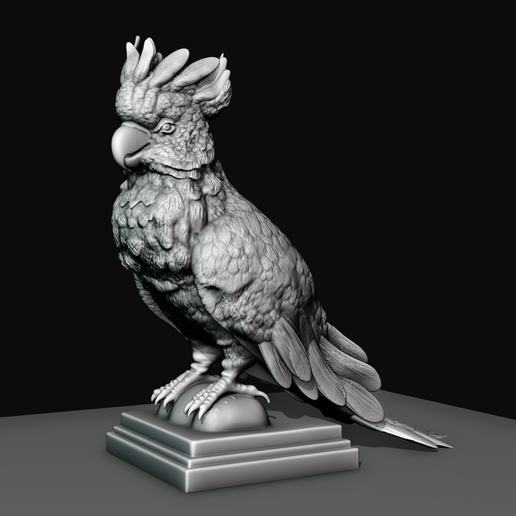 STL file cockatoo parrot stl 🦜 ・3D printing design to download・Cults