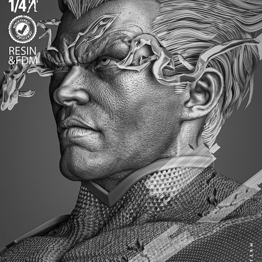 3D file WICKED MARVEL QUICKSILVER PORTRAIT BUST: TESTED AND READY FOR ...