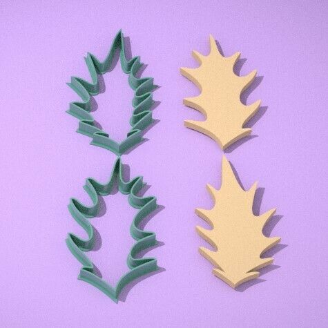 mistletoe leaf shape