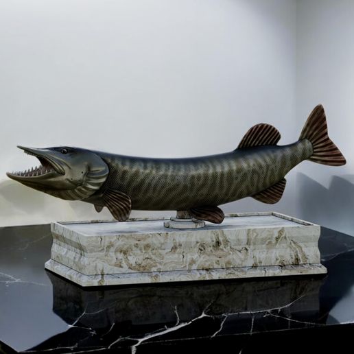 🐠 fish pike muskellunge muskie / Esox masquinongy open mouth with ...